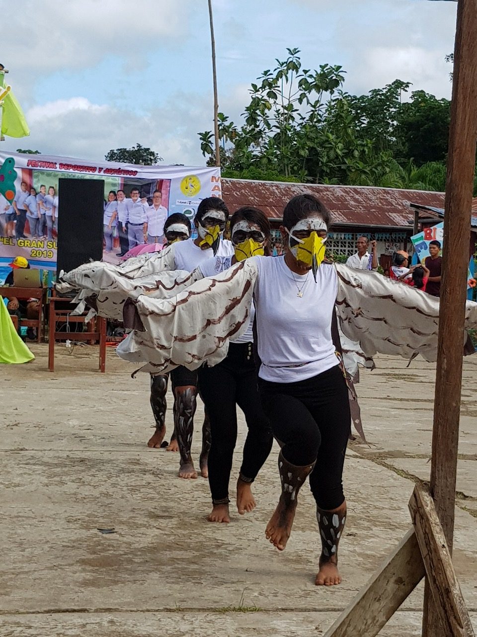 A Bird Celebration REVOLUTION is Happening Right Now in the Amazon ...